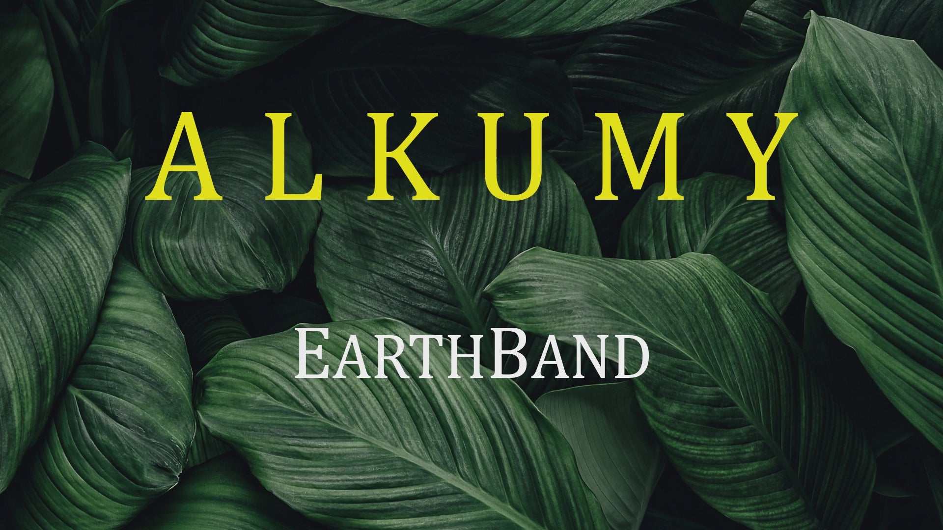 First active energy bracelet – Alkumy
